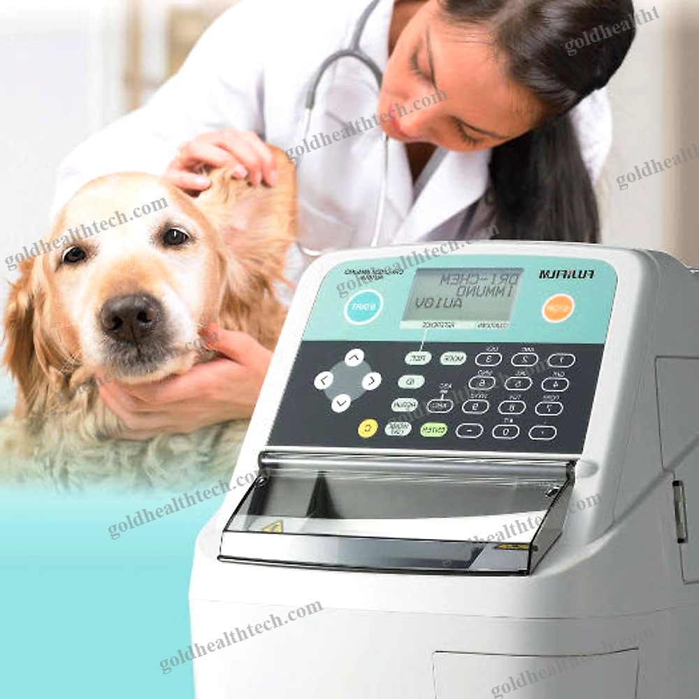 Automatic Immunoassay Analyzer - Gold Health Tech